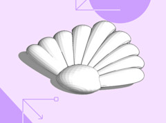 Create a Clam Shell - Tinkercad